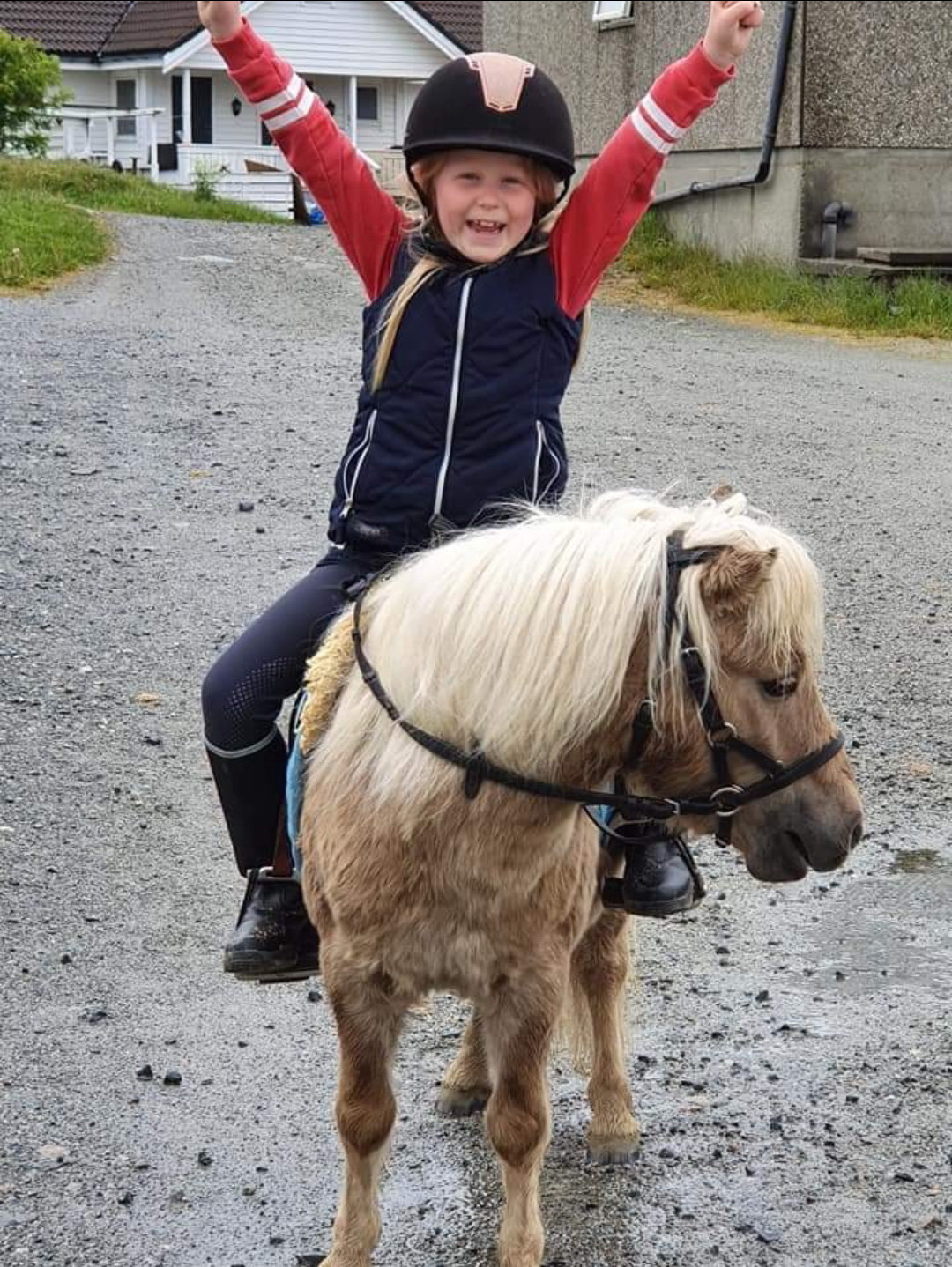 Frisk Rideklubb må investere i ny utendørs bane - Åkrehamn Vekst